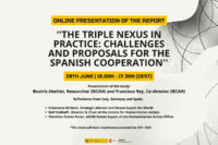Triple Nexus - Centre for Humanitarian Action